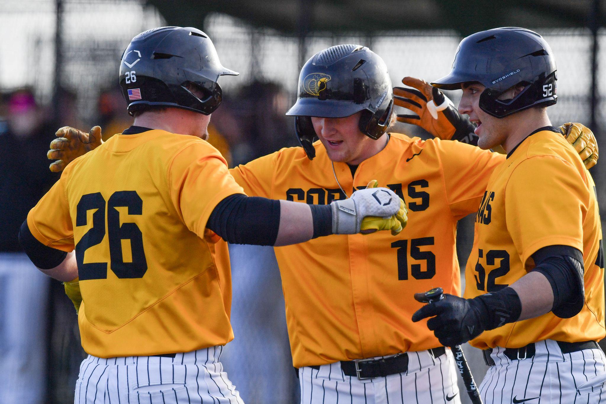 Perseverance and adaptation: Parkland’s Baseball team’s road to the ...